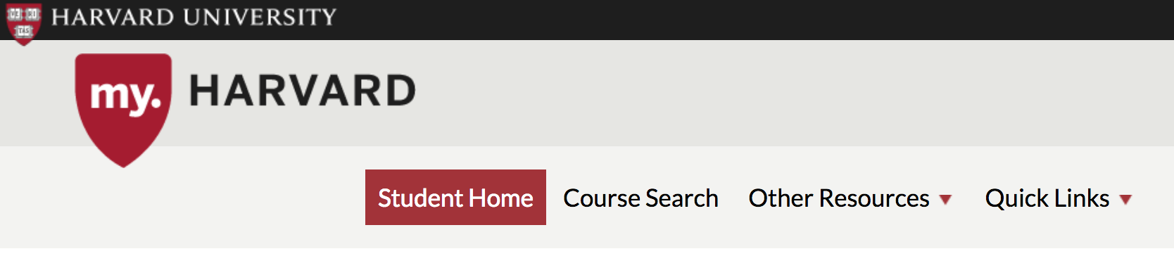 Completing/Updating Family Information Form in my.harvard (Harvard ...